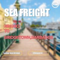 China Ningbo to Bridgetown Barbados Sea Freight Forwarding Services via Kingston 60 Days Transit for sale