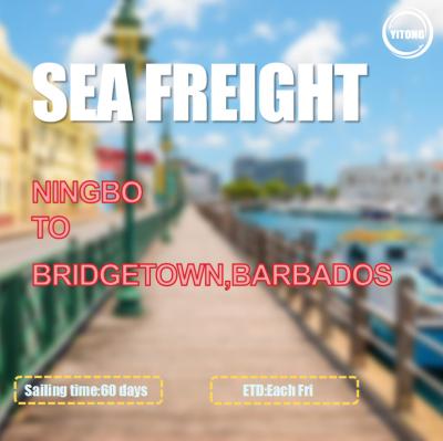 China Ningbo to Bridgetown Barbados Sea Freight Forwarding Services via Kingston 60 Days Transit for sale