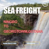 China Ningbo to Georgetown Guyana Port to Port HPL Liner Sea Freight Logistics 32 Days for sale