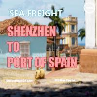 China Sea Freight Shipping from China to Trinidad Tobago Port Worldwide Cargo Service for sale