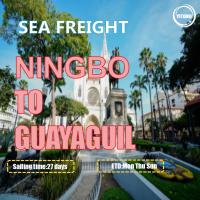 China Ningbo to Guayaquil Ecuador Sea Freight Service FCL LCL 20ft 40ft Container Shipping for sale