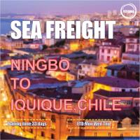 China Ningbo to Iquique Chile Ocean Freight Forwarder 30 Days Transit LCL FCL for sale