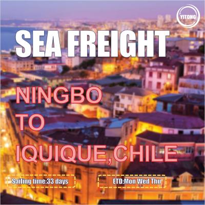 China Ningbo to Iquique Chile Ocean Freight Forwarder 30 Days Transit LCL FCL for sale