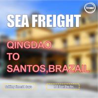 China International Sea Freight from Qingdao to Santos Brazil Direct Sailing 20GP 40HQ for sale
