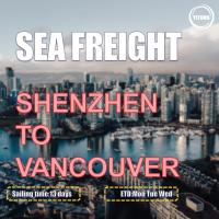 China International Sea Freight from China to Vancouver Canada Port to Port LCL FCL Shipping for sale