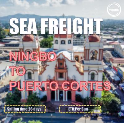 China 26 Days Sea Freight Service Ningbo to Puerto Cortes Honduras LCL FCL Shipping for sale