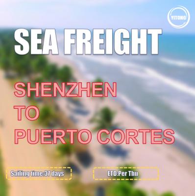 China 37 Days DDP DDU Sea Freight from Shenzhen to Puerto Cortes Honduras LCL FCL for sale