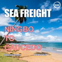 China 27 Days Sea Freight Shipping Ningbo to Caucedo Dominican Republic LCL FCL for sale