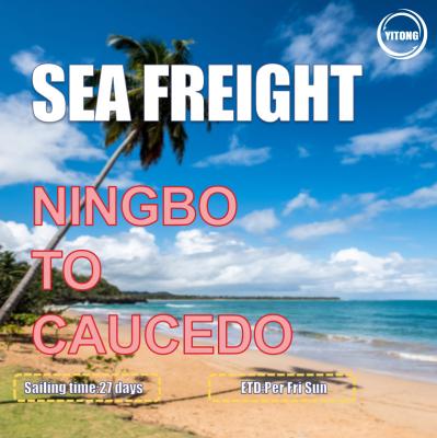 China 27 Days Sea Freight Shipping Ningbo to Caucedo Dominican Republic LCL FCL for sale