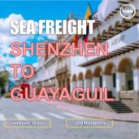 China Sea Freight Logistics Shenzhen to Guayaquil Ecuador 20 Days Transit Time for sale