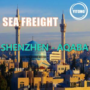 China NVOCC Sea Freight Logistics Service Shenzhen China to Aqaba Jordan 22 Days Transit for sale