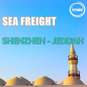 China Shenzhen to Jeddah Sea Freight Logistics 16 Days Direct Shipping Service for sale