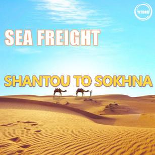 China Ocean Sea Freight from China to Egypt Sokhna International Freight Forwarder 20 Days for sale