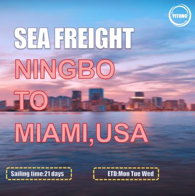 China International Sea Freight from Ningbo to Miami USA Direct Sailing LCL FCL Shipping for sale