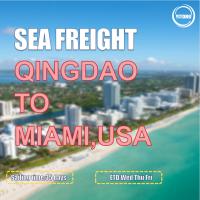 China China to USA Sea Freight Forwarder 21 Days Transit Qingdao to Miami Port to Port for sale