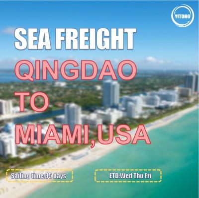 China China to USA Sea Freight Forwarder 21 Days Transit Qingdao to Miami Port to Port for sale