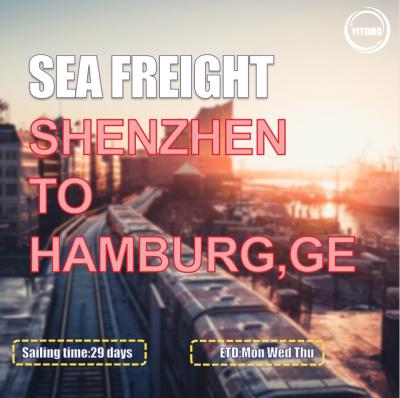 China International Sea Freight Logistics from Shenzhen to Hamburg Germany FCL LCL Shipping for sale