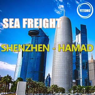 China China Shenzhen to Hamad Qatar Sea Freight 17 Days Logistics Service for sale