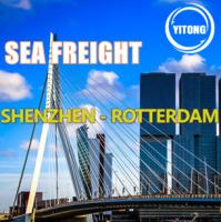 China Shenzhen to Rotterdam Sea Freight Logistics FOB DDU 30 Days Transit Time for sale