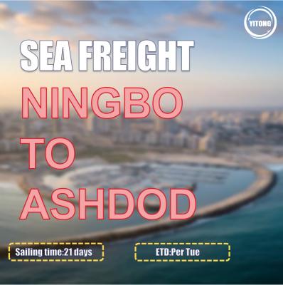 China COSCO Liner Export Ocean Cargo Logistics Ningbo to Ashdod Israel Direct Sailing 20GP for sale