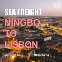 China Sea Freight Logistics Ningbo to Lisbon Portugal Europe EMC ONE Liner 20GP 40GP for sale