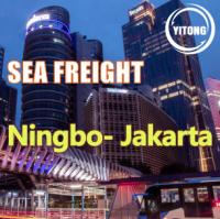 China NVOCC ISEA 9 Days Sea Freight from China to Jakarta Indonesia for sale