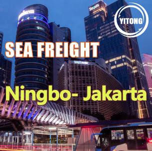 China NVOCC ISEA 9 Days Sea Freight from China to Jakarta Indonesia for sale