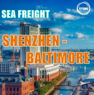 China Direct Sea Freight Logistics from Shenzhen China to Baltimore US 35 Days for sale
