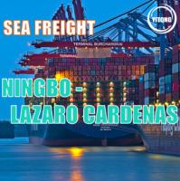 China Ningbo to Lazaro Cardenas Direct Sea Freight Logistics 25 Days Transit for sale
