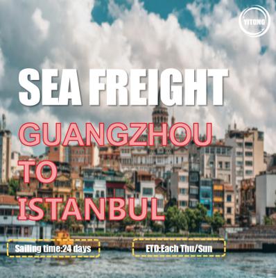 China Guangzhou to Istanbul Sea Freight Shipping Agency 24 Days Transit NVOCC Carrier for sale