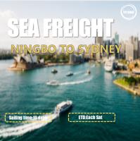 China Ningbo to Sydney Sea Freight Service 19 Days Transit Weekly Saturday Sailing for sale