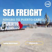 China Ningbo to Puerto Cabello Venezuela Sea Freight 41 Days FOB DDP DDU Logistics Service for sale