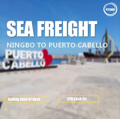 China Ningbo to Puerto Cabello Venezuela Sea Freight 41 Days FOB DDP DDU Logistics Service for sale