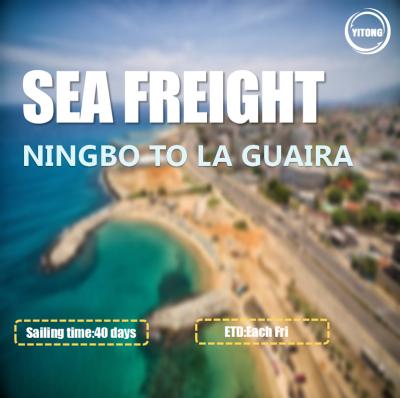 China Ningbo to La Guaira Venezuela Sea Freight Logistics Service 40 Days Transit for sale