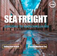 China FOB CIF Ocean Freight from Qingdao to Manzanillo Mexico LCL FCL Shipping for sale