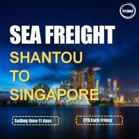 China Shantou to Singapore International Sea Freight Direct Sailing 11 Days Transit for sale