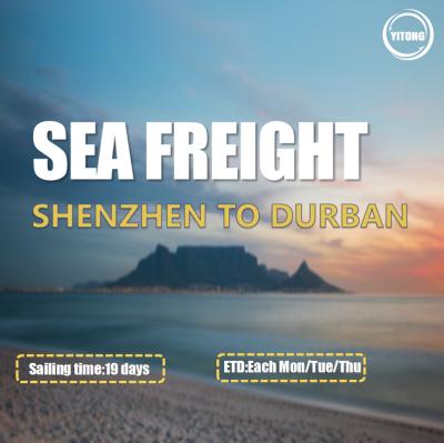 China 3 Shifts Weekly Sea Freight Shenzhen to Durban South Africa Direct Sailing 20GP 40HQ for sale