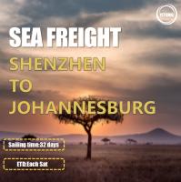 China Sea Freight from Shenzhen to Johannesburg South Africa Direct Sailing 20ft 40ft Container for sale