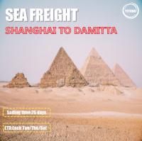 China Shanghai to Damietta Egypt Direct Sea Freight 3 Shifts Weekly LCL FCL Logistics for sale