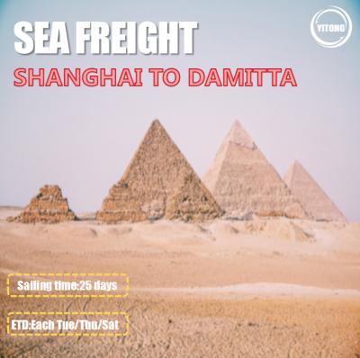 China Shanghai to Damietta Egypt Direct Sea Freight 3 Shifts Weekly LCL FCL Logistics for sale