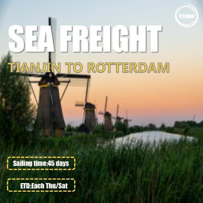 China Sea Freight Tianjin to Rotterdam Netherlands 2 Shifts Weekly LCL FCL Shipping for sale