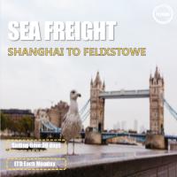 China EMC YML Liner Ocean Freight Logistics from Shanghai to Felixstowe UK 20ft Container for sale