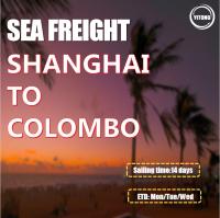 China Sea Freight from Shanghai China to Colombo Sri Lanka LCL FCL Shipping Service for sale