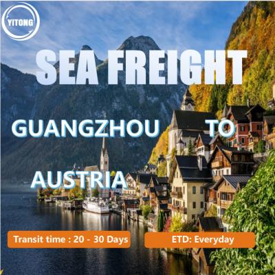 China DDP Sea Freight Forwarding from Guangzhou to Austria Full Container Logistics Service for sale