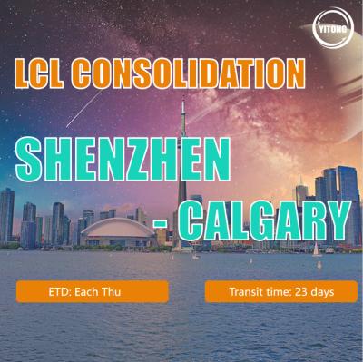 China Reliable China LCL Consolidation Freight Service Shipping Container 20-25 Days DDP for sale