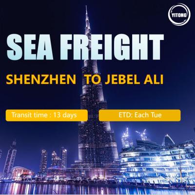 China Sea Freight from Shenzhen to Dubai DDU DDP Logistics Services 20-25 Days for sale