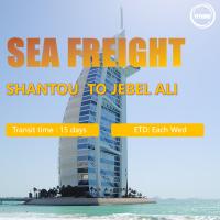 China Sea and Air Freight from China to Dubai UAE Door to Door Shipping Service for sale