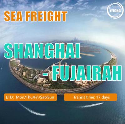 China Sea Freight From Shanghai To Fuiairah for sale