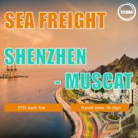 China Sea Freight Forwarder to Muscat Ocean Container Shipping Agent 20-25 Days for sale