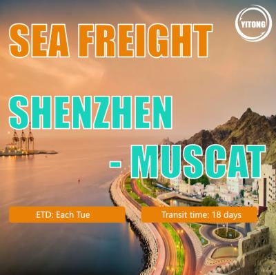 China Sea Freight Forwarder to Muscat Ocean Container Shipping Agent 20-25 Days for sale